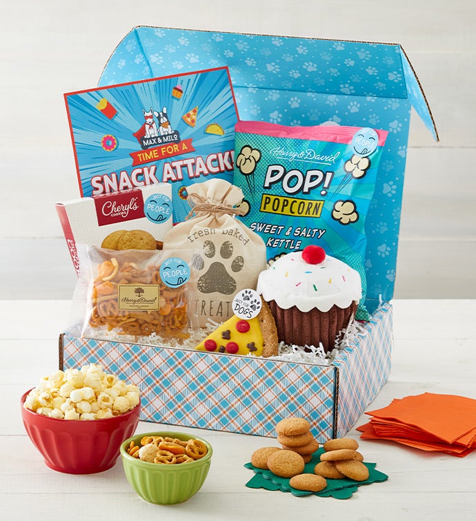 Max & Milo® Dog & Owner Snack Attack Box